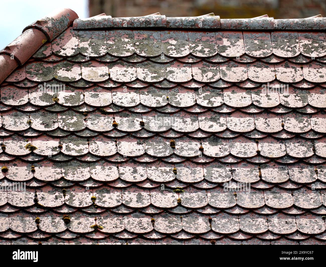 Preserving the history of that time hi-res stock photography and images ...