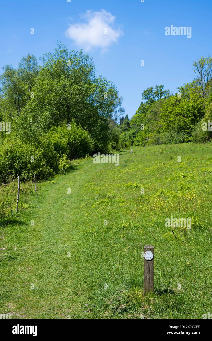 Warburg Nature Reserve, Henley-on-Thames, Oxfordshire, England, UK, GB ...