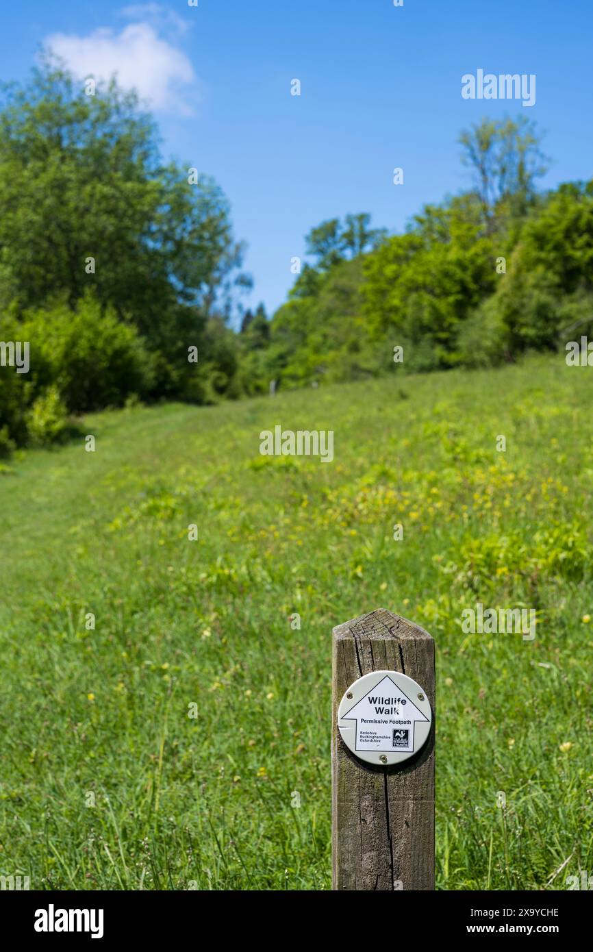 Warburg Nature Reserve, Henley-on-Thames, Oxfordshire, England, UK, GB ...