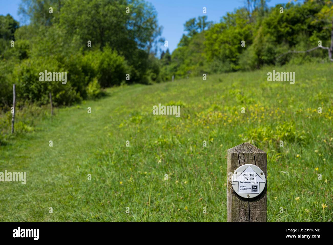 Warburg nature reserve hi-res stock photography and images - Alamy