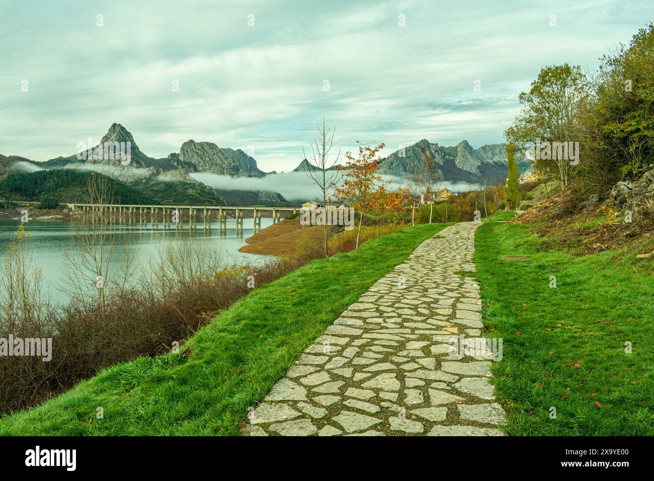 Riano leon hi-res stock photography and images - Alamy