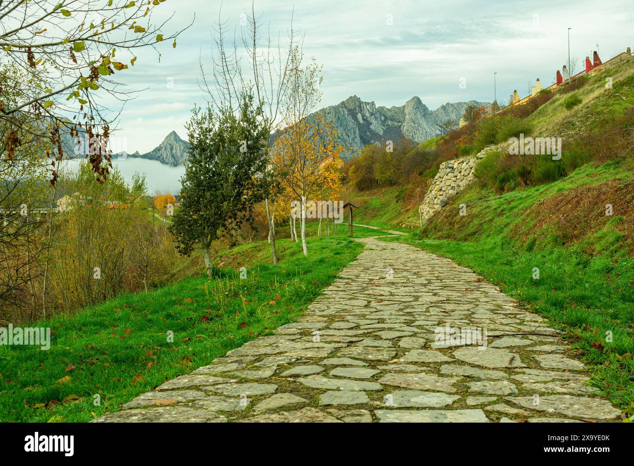 A stone path through blooming fields by Riano Reservoir in Leon Stock ...