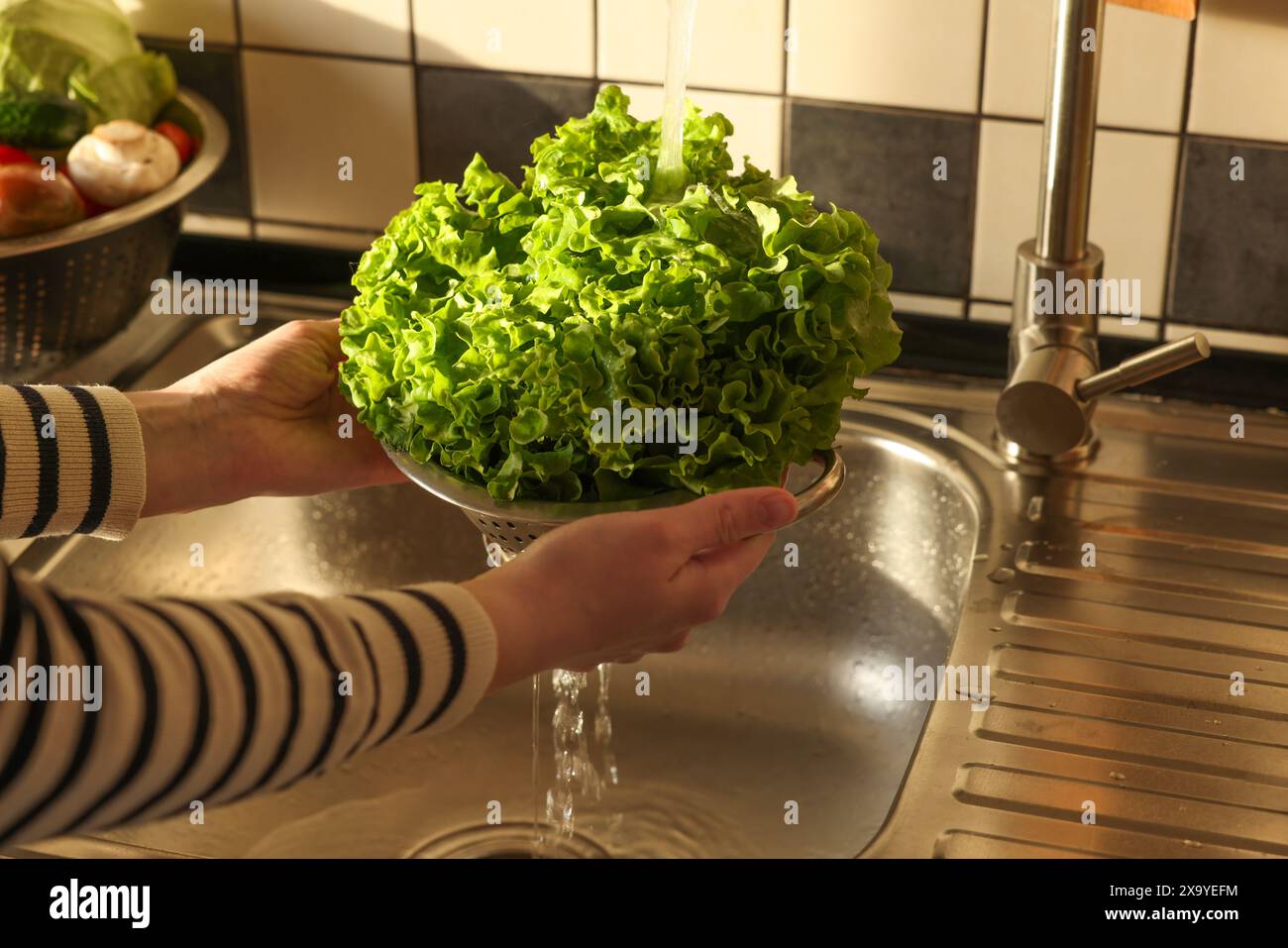 Woman washing lettuce in sieve hi-res stock photography and images - Alamy