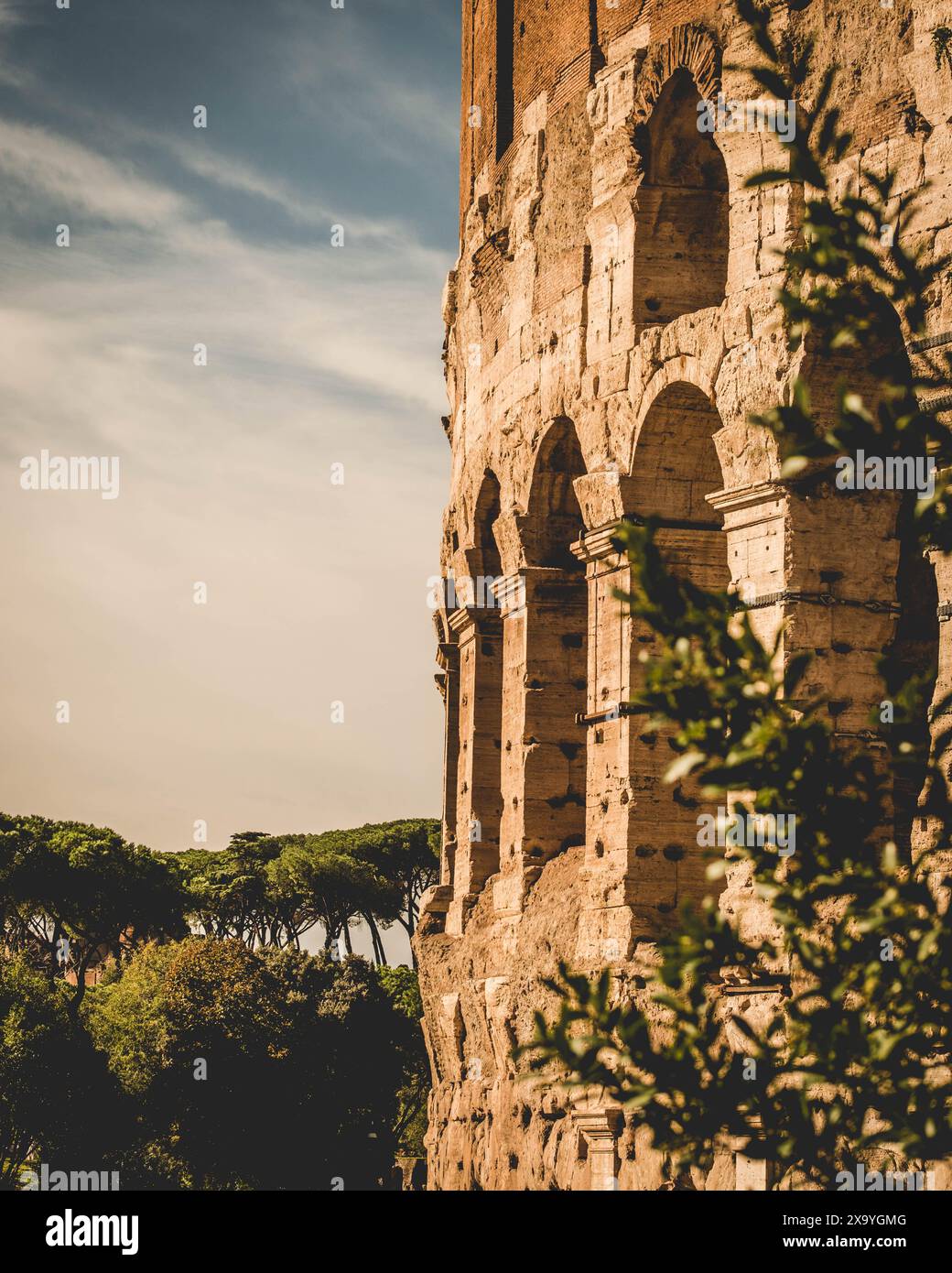 A detailed close-up of Roman Colosseum framed by lush green trees Stock ...