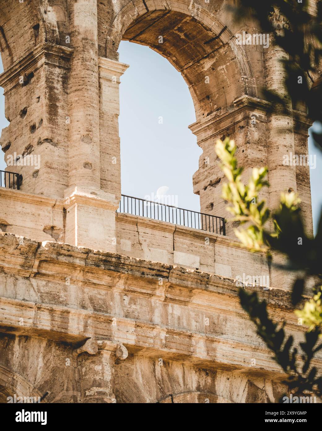 A detailed close-up of Roman Colosseum framed by lush green trees Stock ...