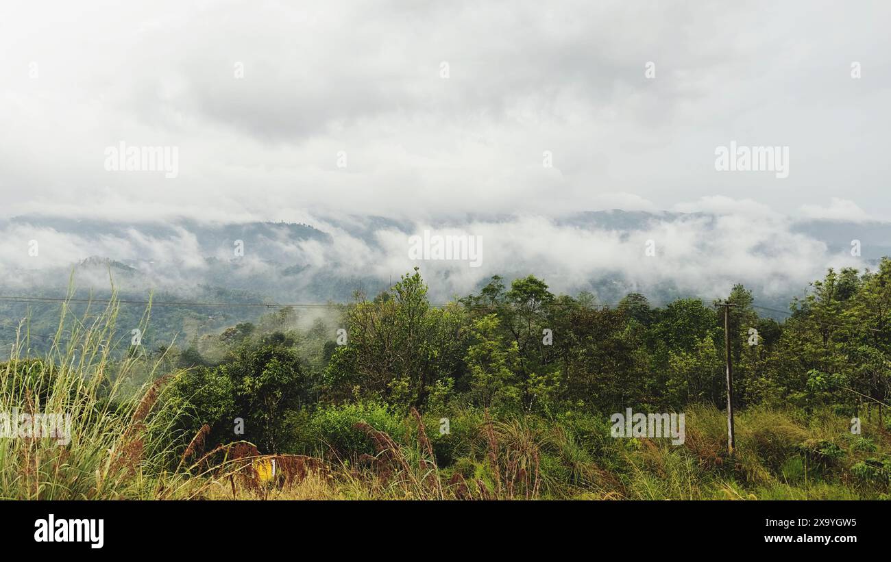 Dynamic natural scene hi-res stock photography and images - Alamy