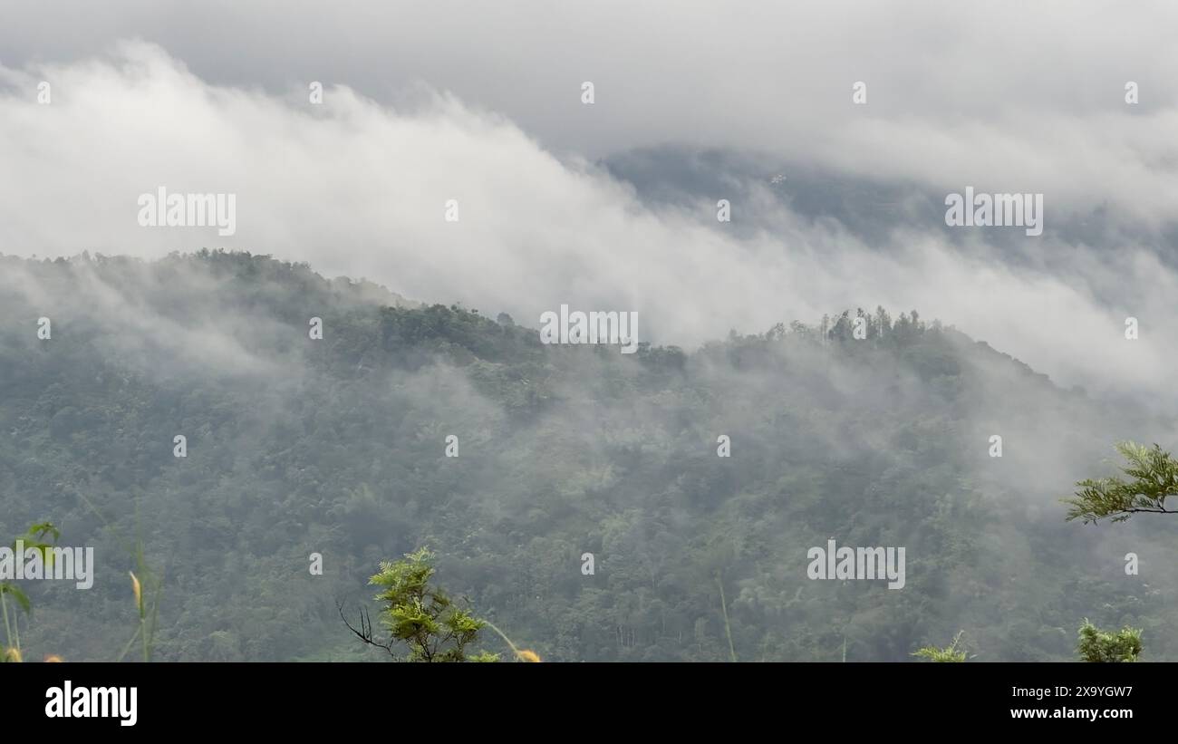 Dynamic natural scene hi-res stock photography and images - Alamy