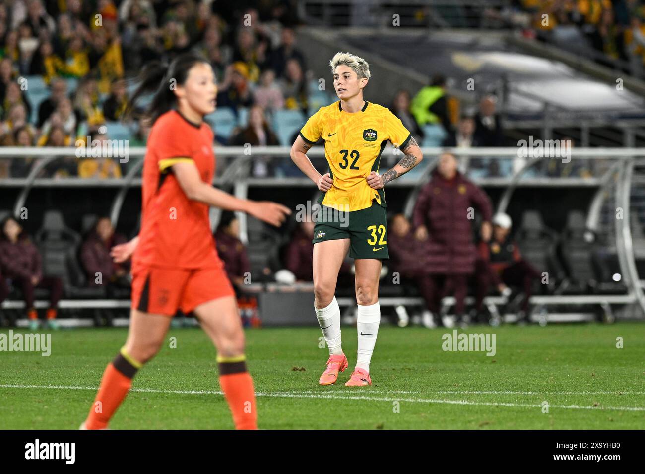 Sydney, NSW, Australia. 3rd June 2024; Accor Stadium, Sydney, NSW ...