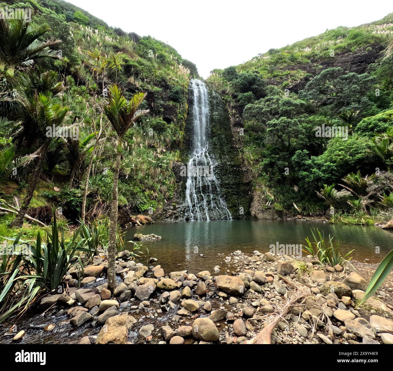 A scenic view of KareKare Falls surrounded by lush greenery. New ...