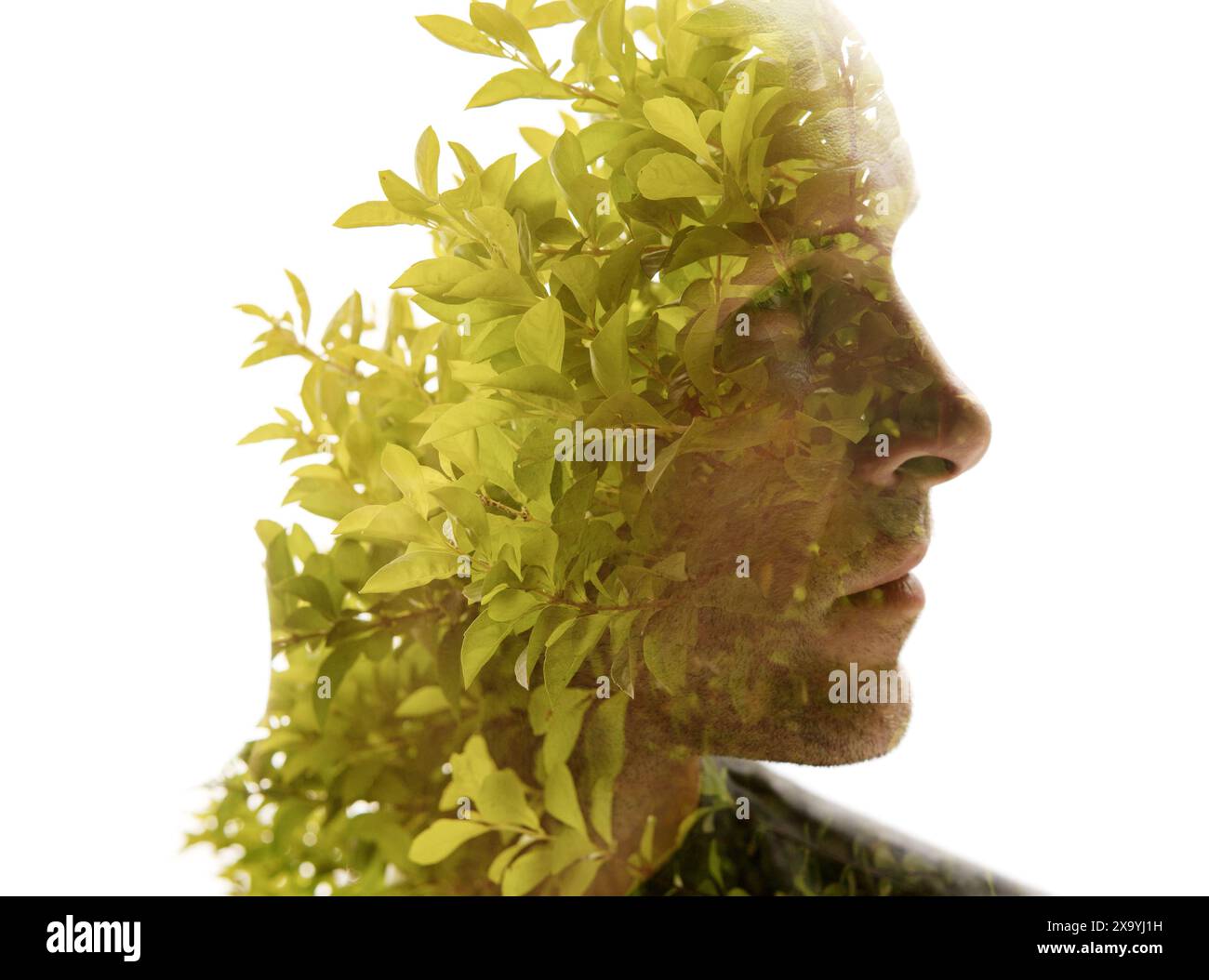 A 3D conceptual double exposure full front male portrait Stock Photo ...