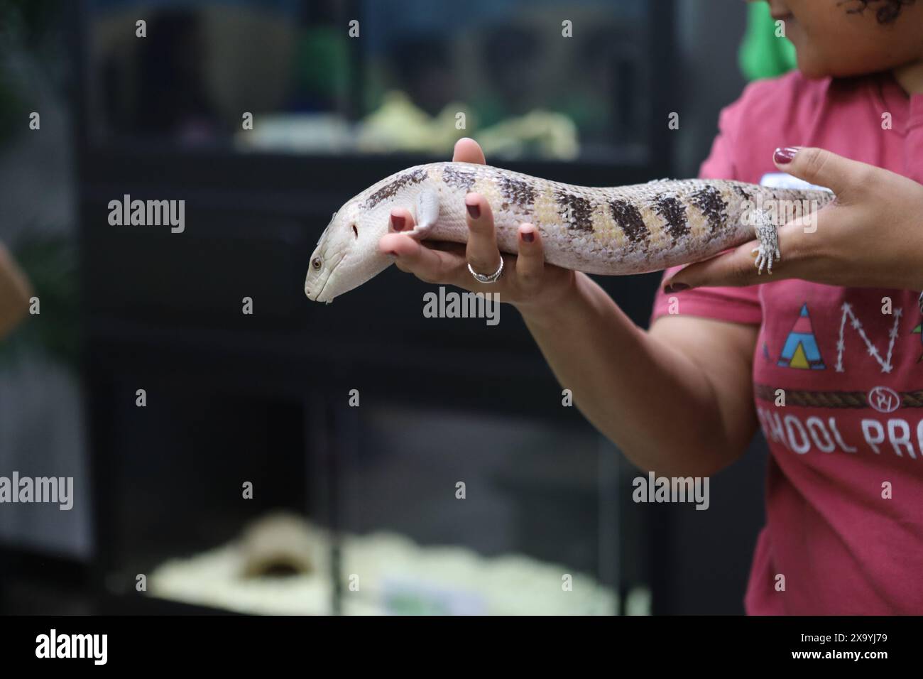 A young kid holding a snake coiled around them Stock Photo - Alamy