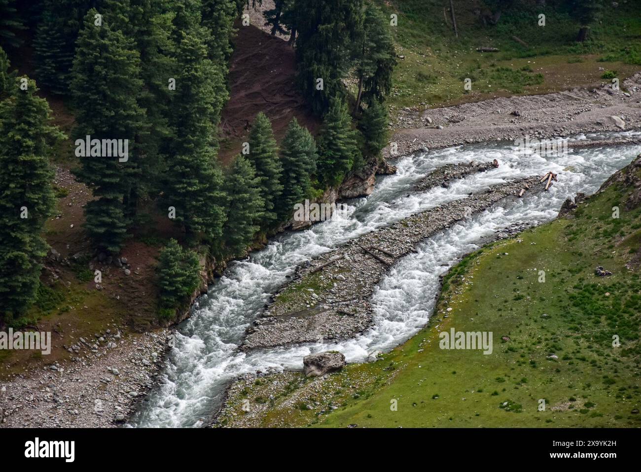 Peer Ki Gali, India. 03rd June, 2024. A stream flows near the forest at ...