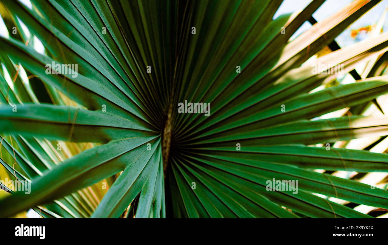 Center in focus hi-res stock photography and images - Alamy