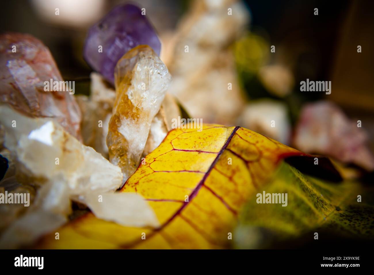 Crystals surrounded by fall foliage and blooms Stock Photo - Alamy
