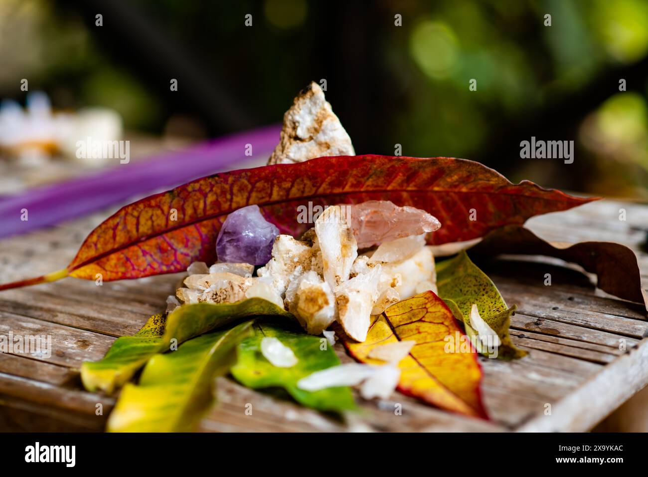 Various gemstones and crystals displayed on a plate atop a table Stock ...