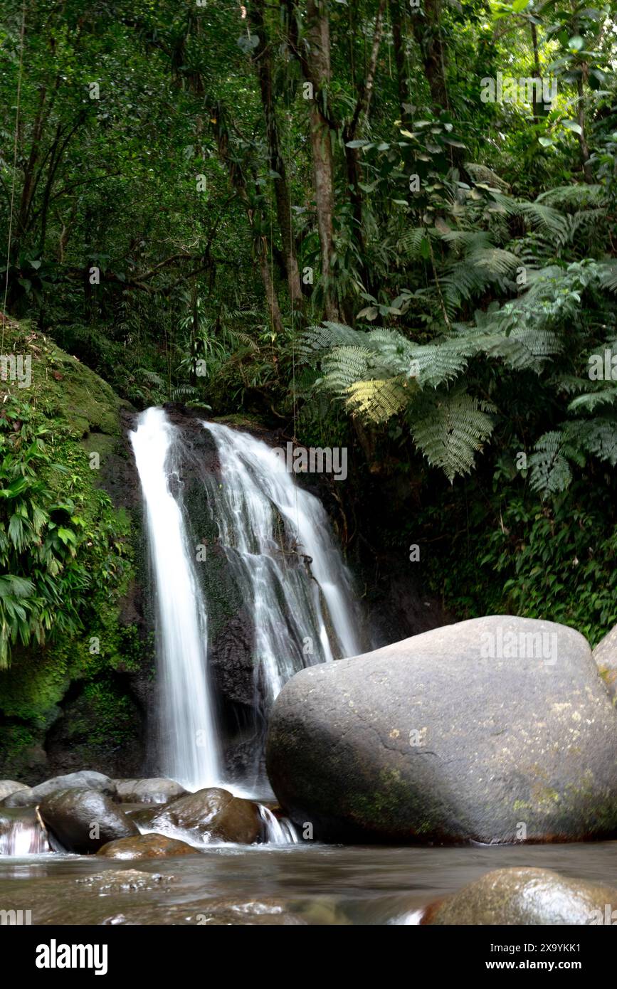 Waterfall in lush jungle setting Stock Photo - Alamy