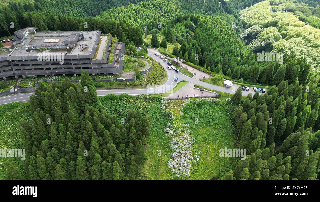 Aerial view of cars parked by a forest clearing Stock Photo - Alamy