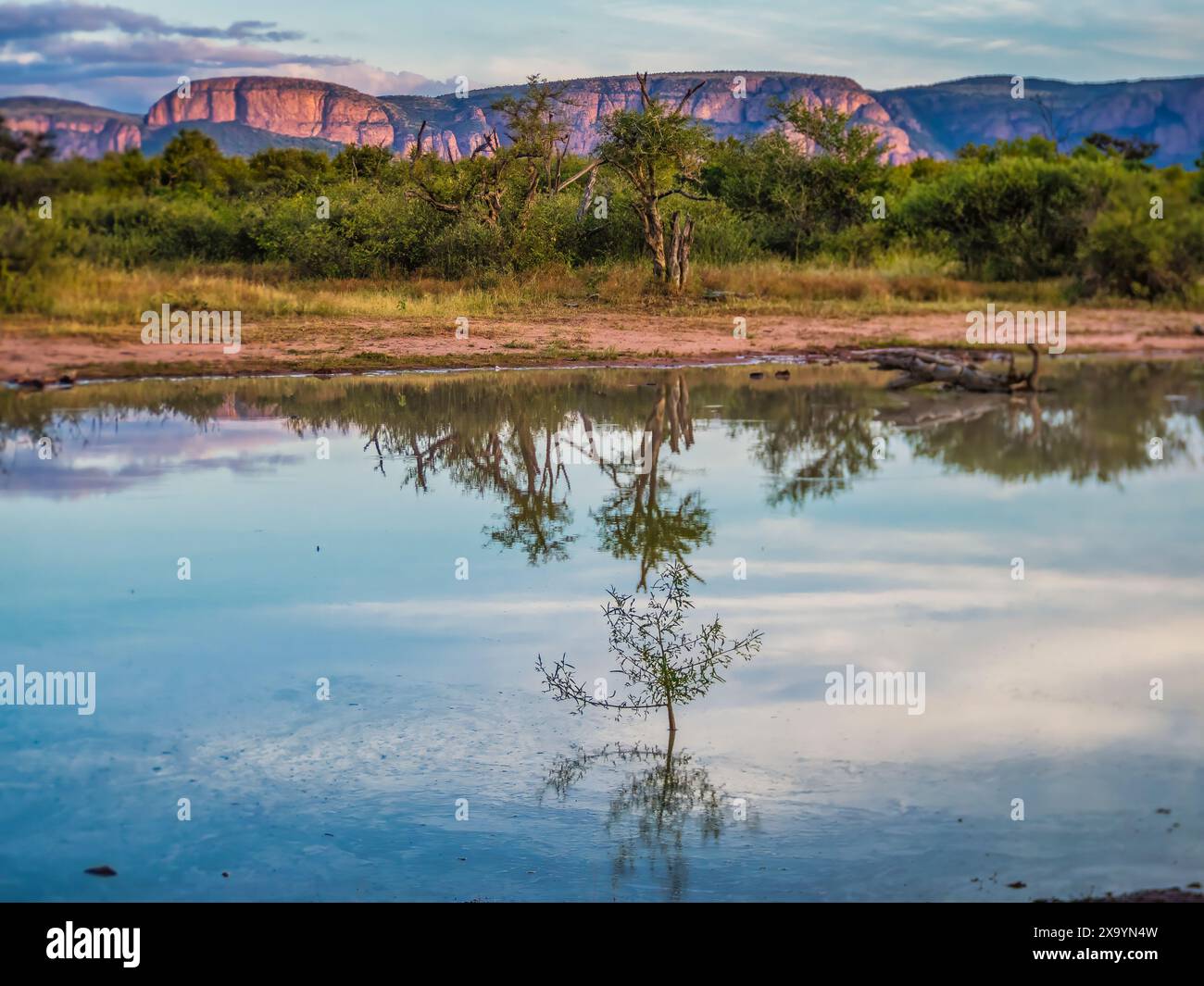 Scenic lake with lone tree and distant mountains Stock Photo - Alamy