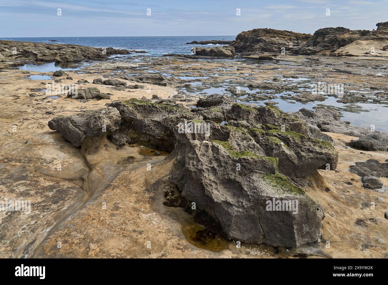 Unique botanical beach with a large rugged rocks leading the eye ...