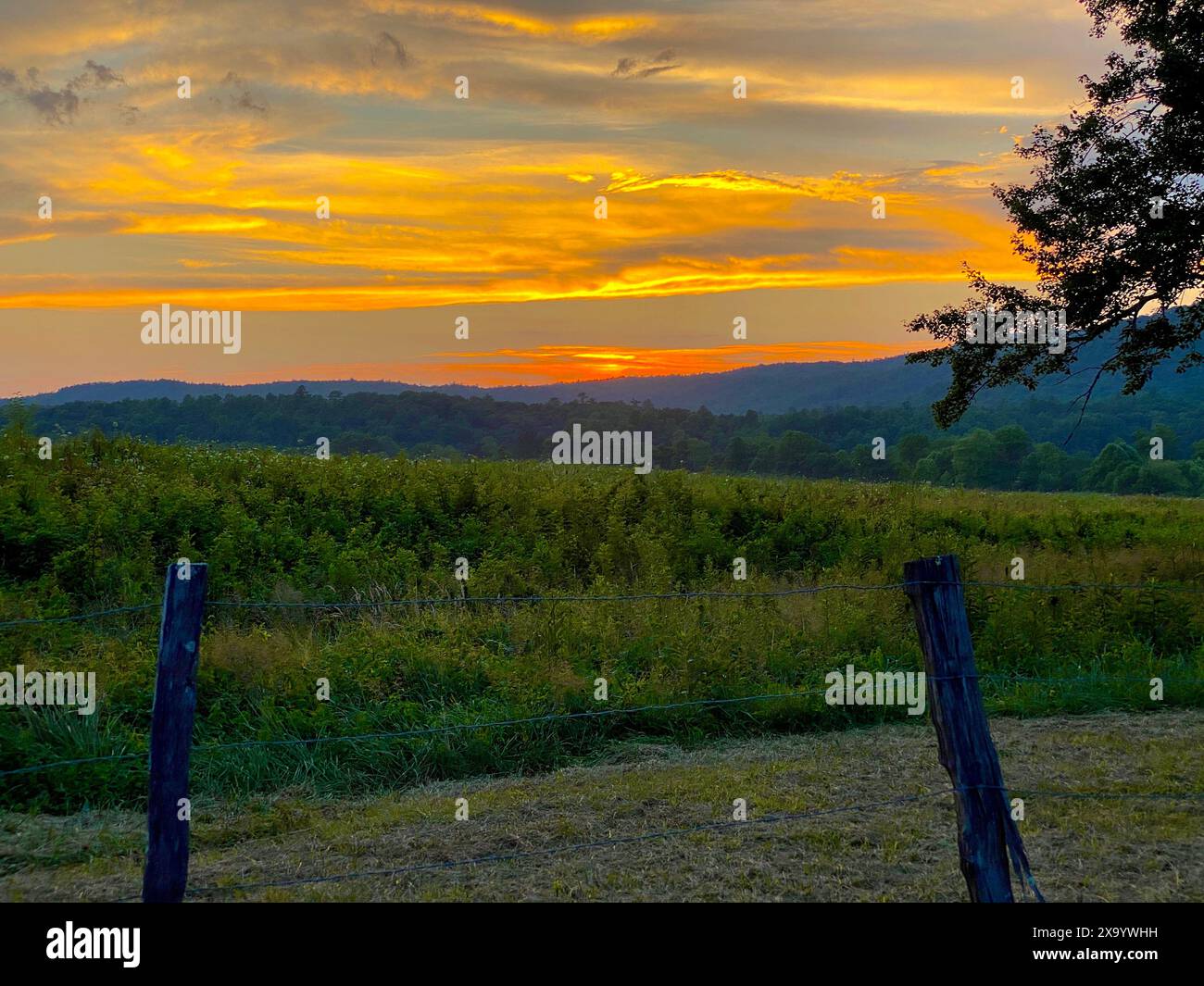 Setting sun behind fence hi-res stock photography and images - Alamy