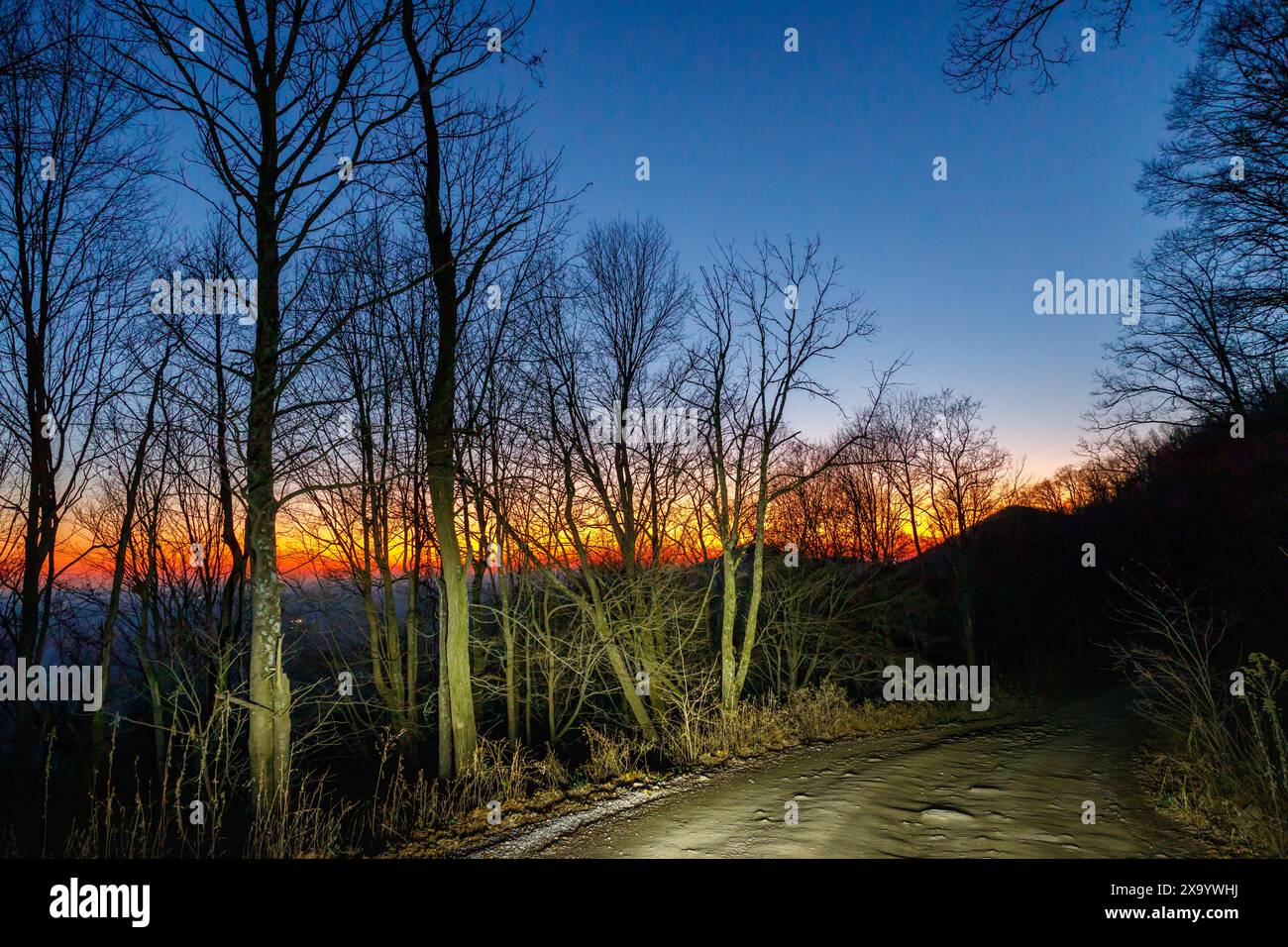 The sunset illuminating an empty road on a tree-lined hillside Stock ...
