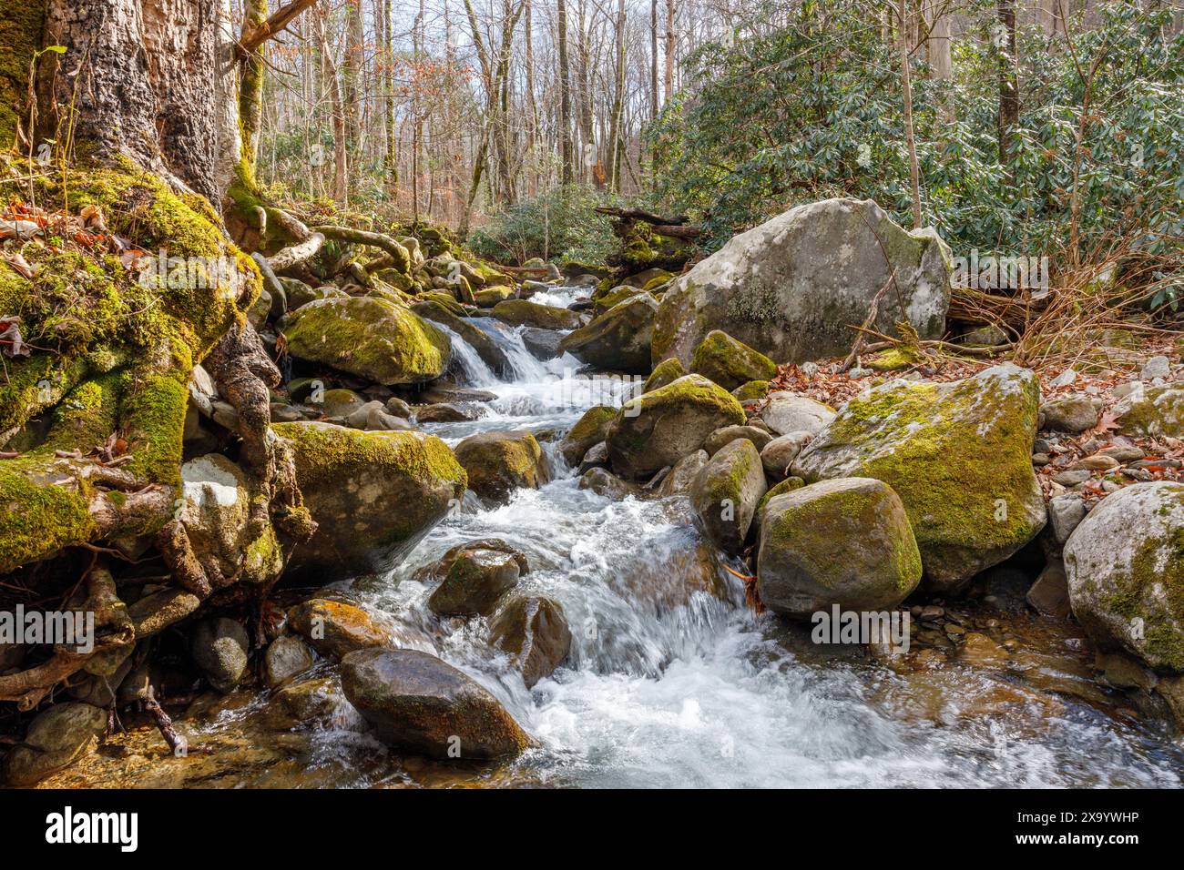 Scenic stream flowing through vibrant hi-res stock photography and ...