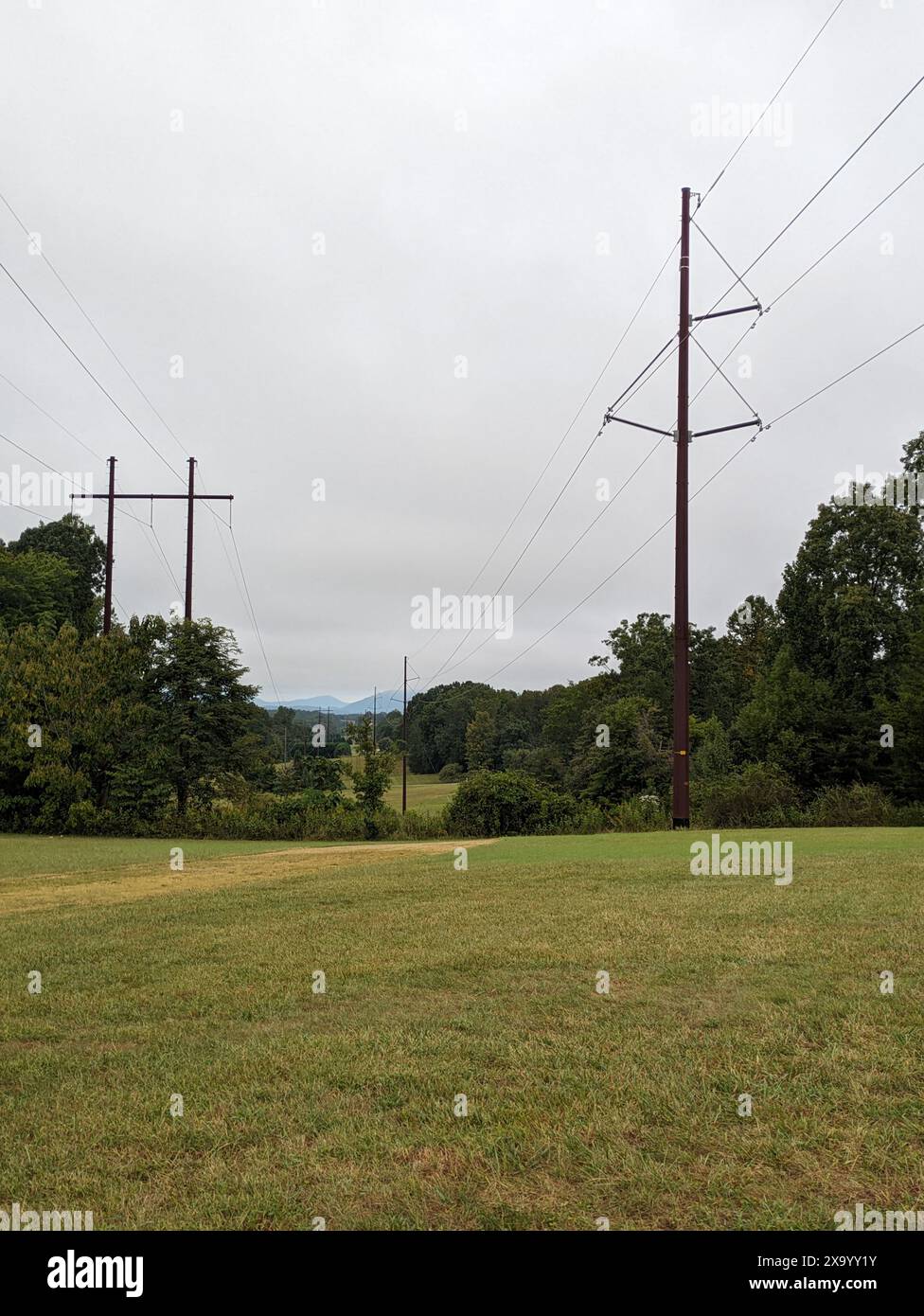 Utility towers in a field surrounded by trees and bushes in the Blue ...