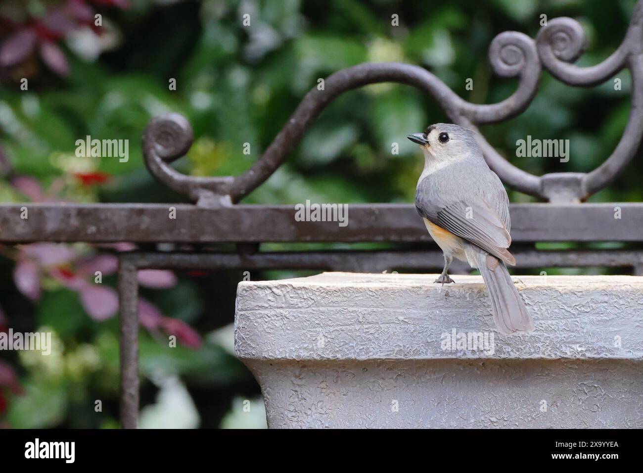 Edge of railing hi-res stock photography and images - Alamy
