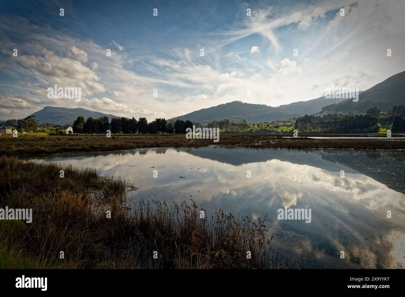 Lush greenery landscape hi-res stock photography and images - Alamy