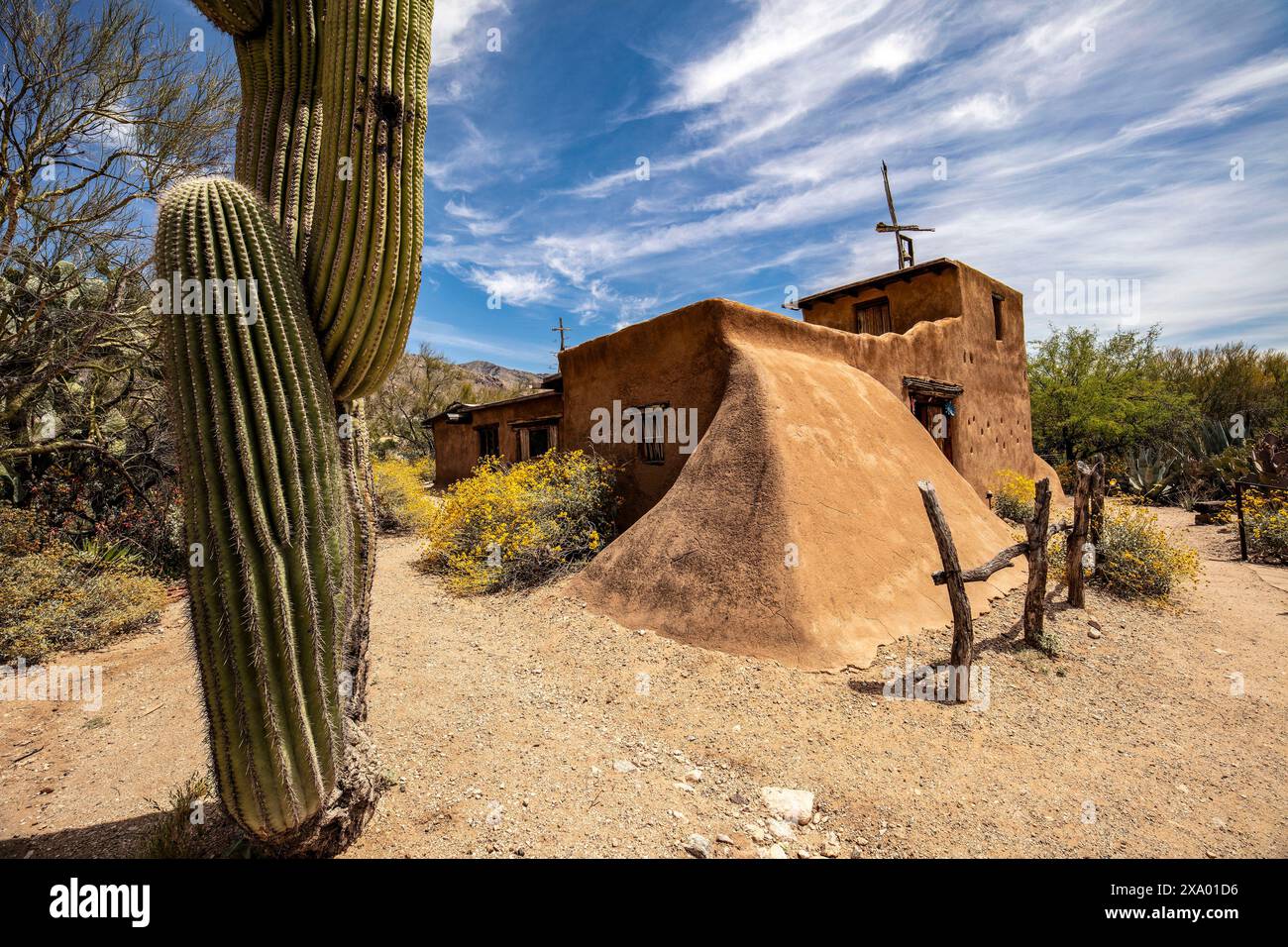 Majestic Saguaro, Saˈɣwaɾo, Carnegiea Gigantea, standing in glorious ...