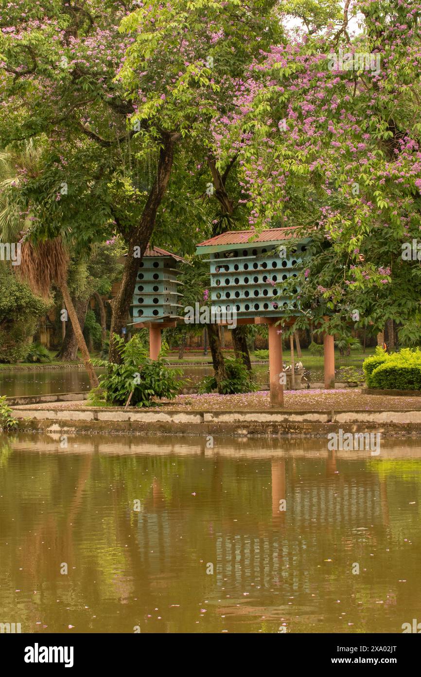 The serene Jardín Botánico de Hanói, Hanoi Botanic Gardens, Bach Thao ...