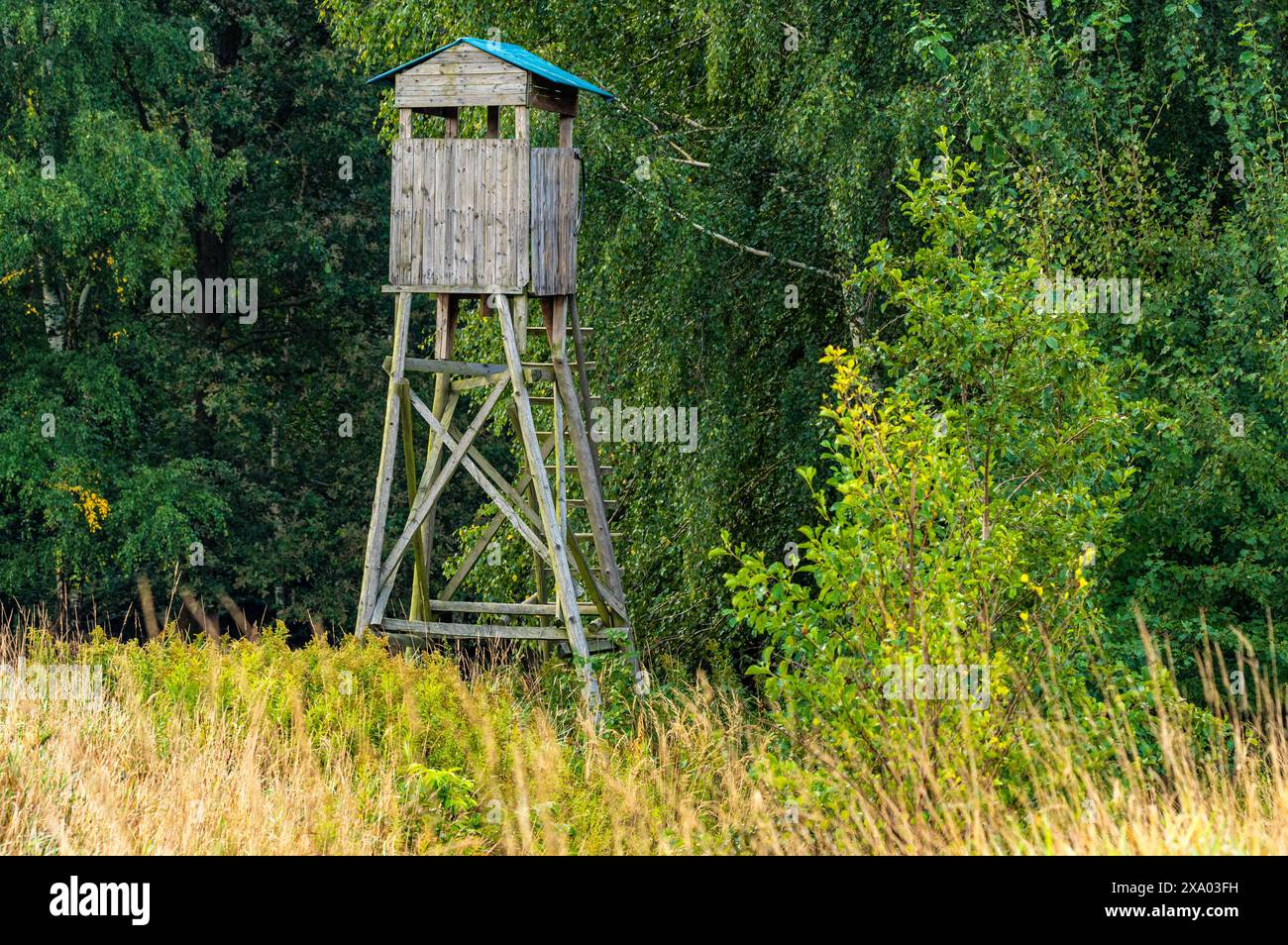Wooden observation platform structure hi-res stock photography and ...