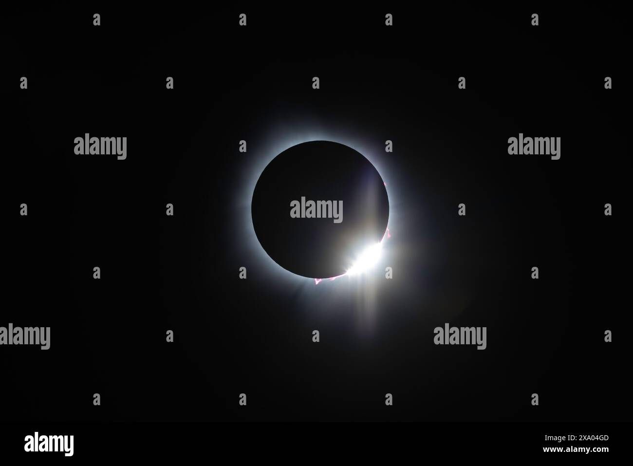 An eclipse in the night sky above trees Stock Photo - Alamy