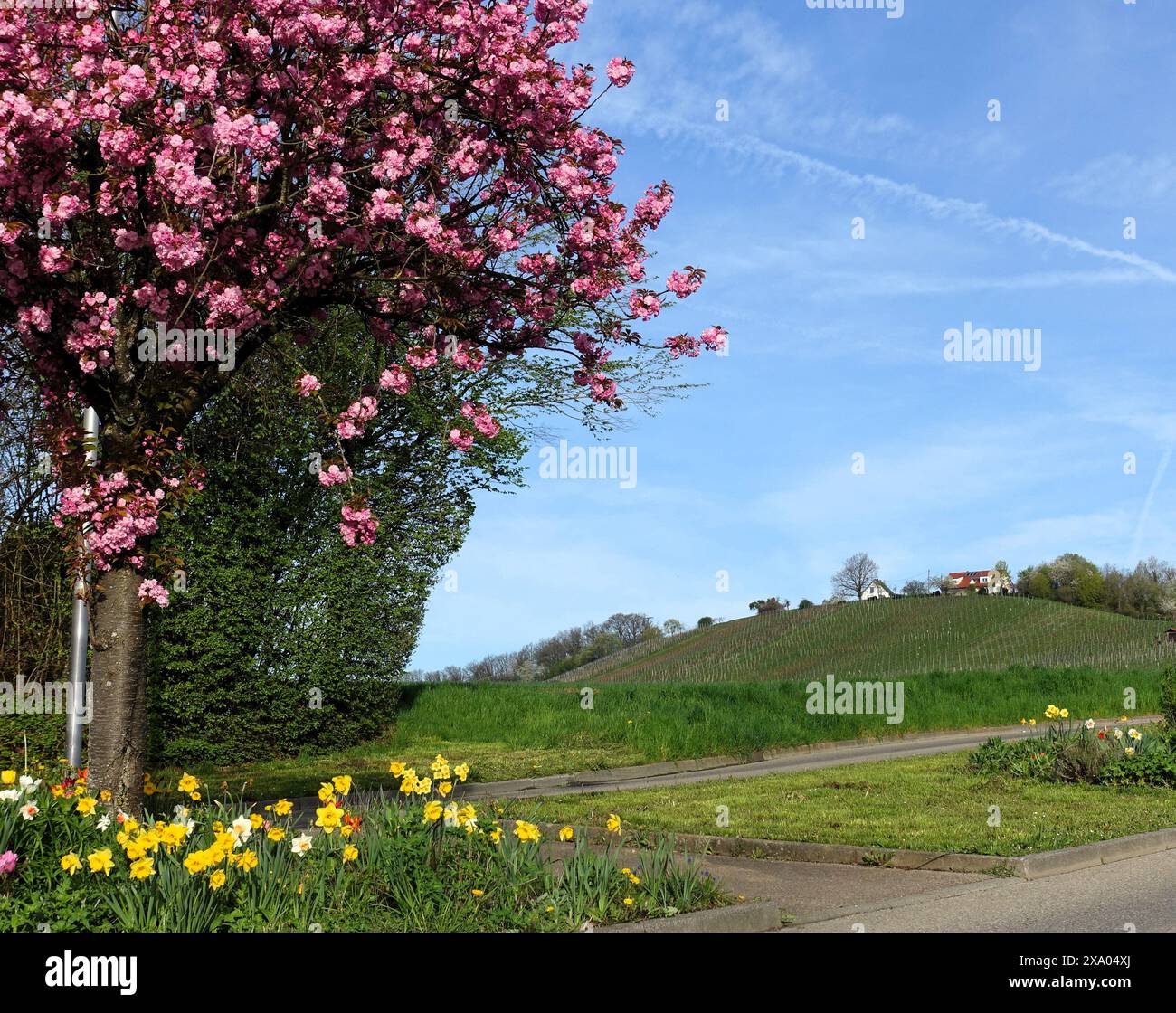 A red fire hydrant on the roadside Stock Photo - Alamy