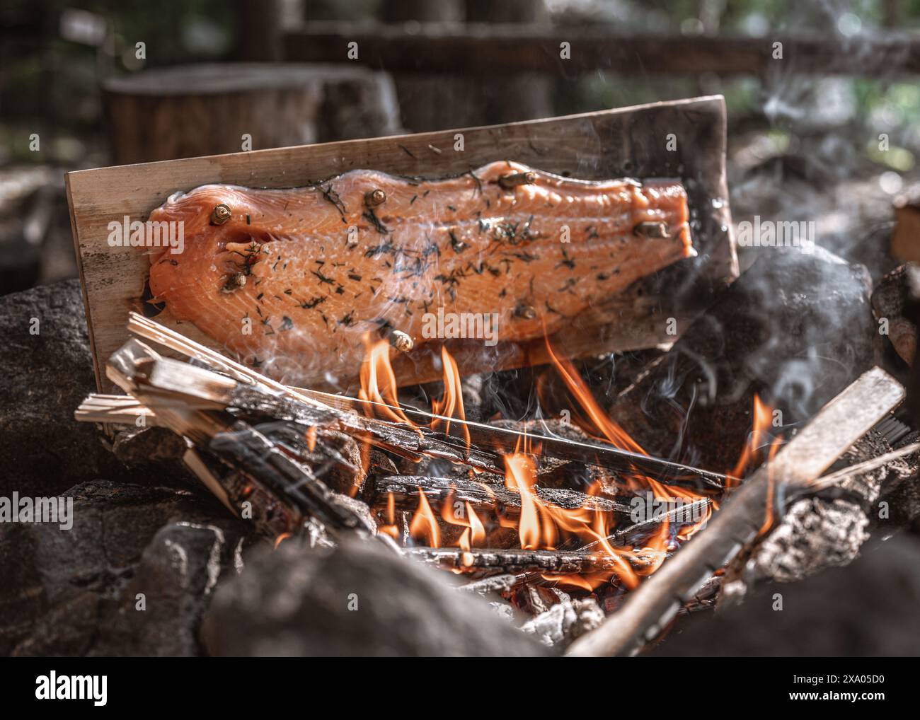 Salmon grilling over coals at festival event Stock Photo - Alamy
