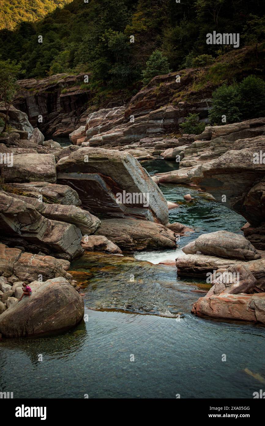 Serene forest waterfall cascading over hi-res stock photography and ...
