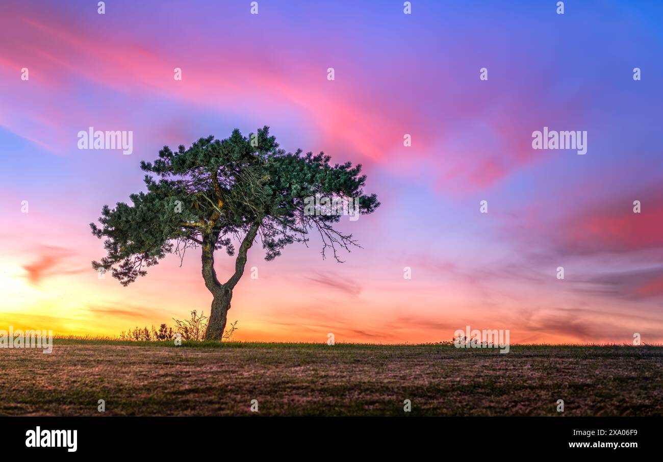 Cherokee silhouette hi-res stock photography and images - Alamy