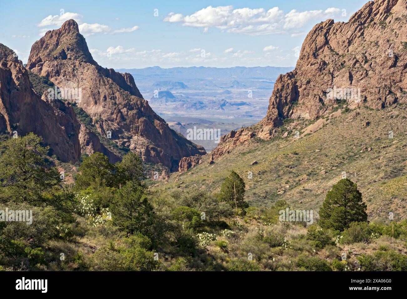 Texas, Big Bend National Park, Chisos Mountains, Window View Trail ...