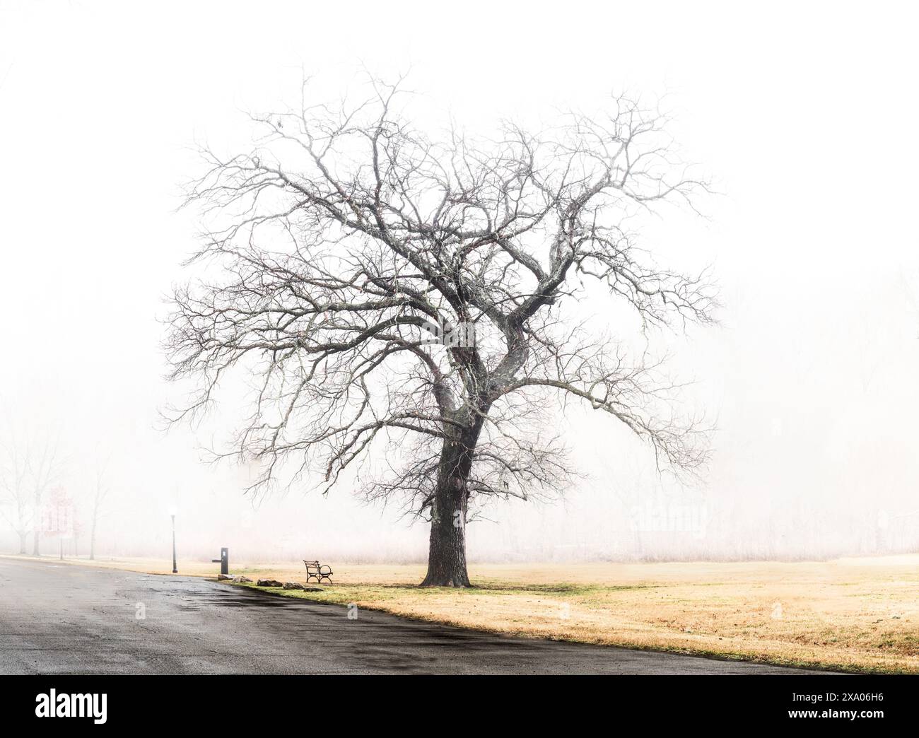 Atmospheric foggy scene hi-res stock photography and images - Alamy
