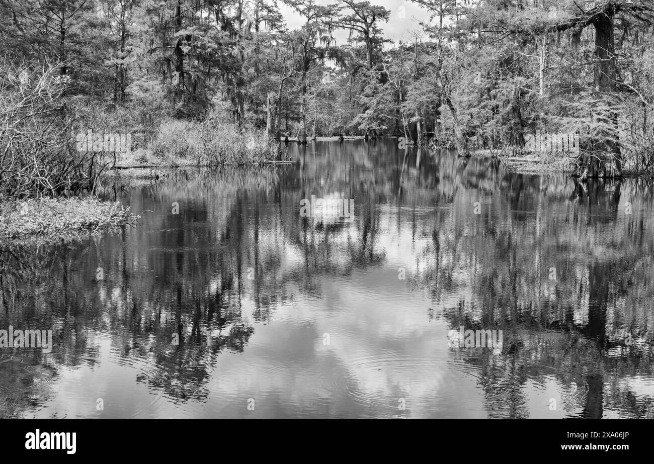 Breaux bridge louisiana Black and White Stock Photos & Images - Alamy