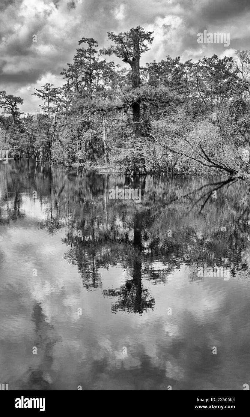 Breaux bridge louisiana Black and White Stock Photos & Images - Alamy
