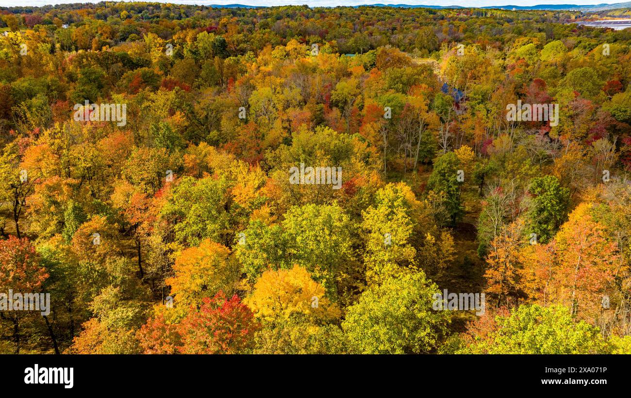 The scenic forest landscape with vibrant autumn trees Stock Photo - Alamy