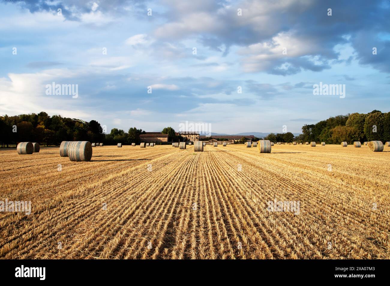 Hay bales in farmland, picturesque agricultural landscape, rural ...