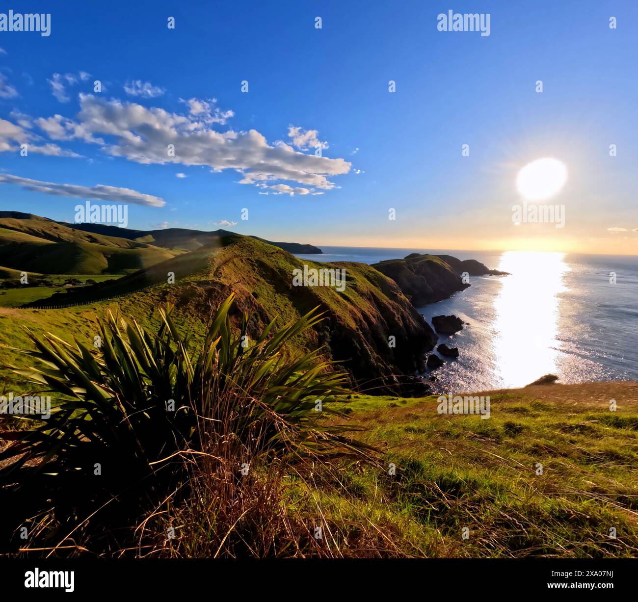 The Port Jackson in New Zealand, ocean view Stock Photo - Alamy
