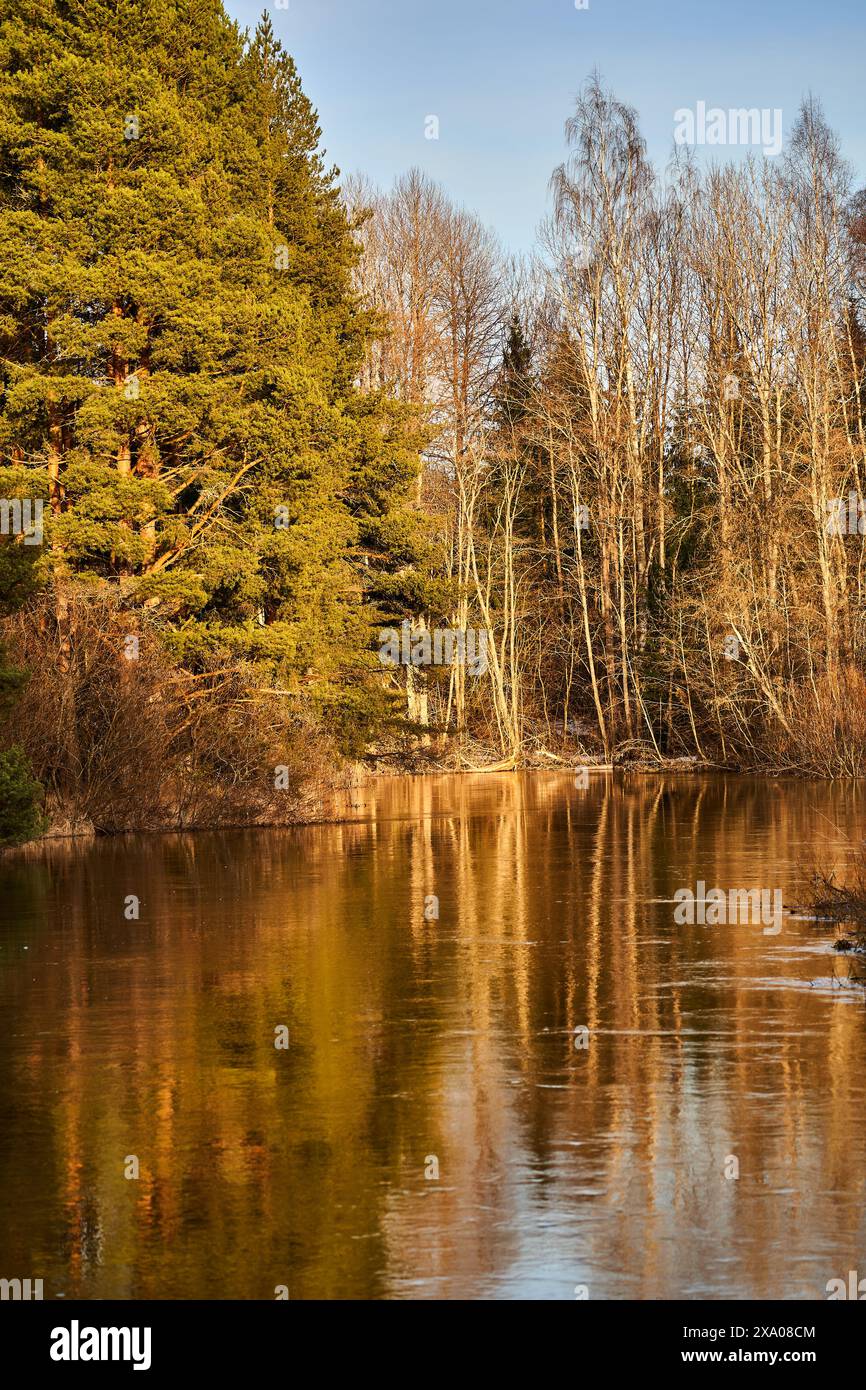 A boat floating in the river surrounded by trees growing in the waterj ...