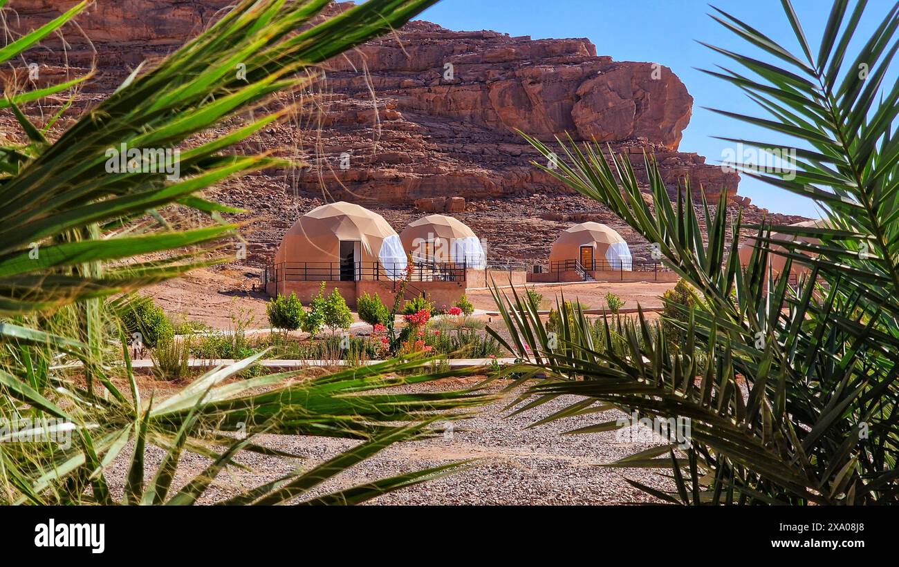Three concrete buildings surrounded by lush foliage and palm trees in ...