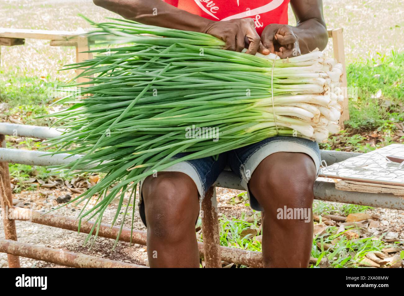 Escallion hi-res stock photography and images - Alamy