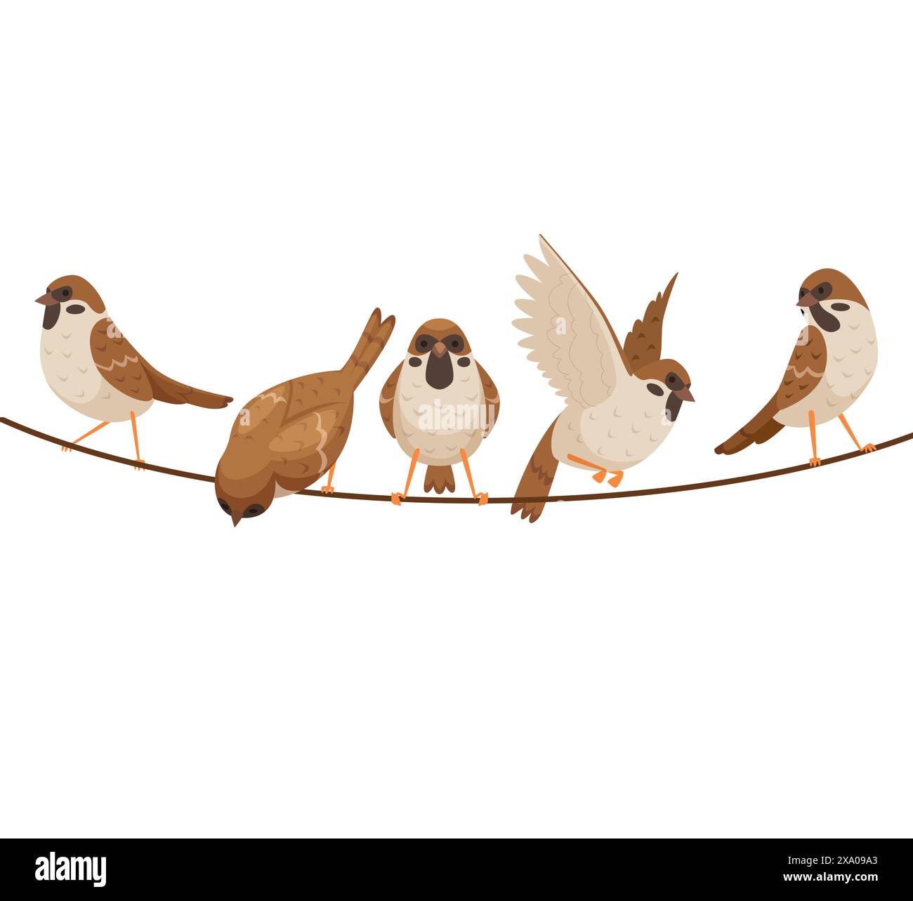 Sparrows group of birds sitting and flying vector cartoon sparrows ...