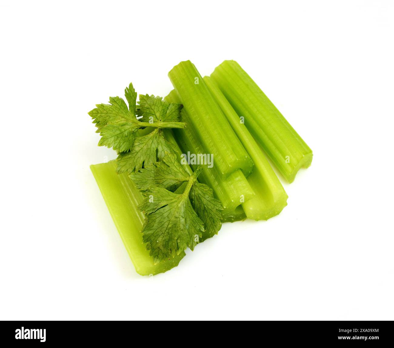 Single stick celery Cut Out Stock Images & Pictures - Alamy