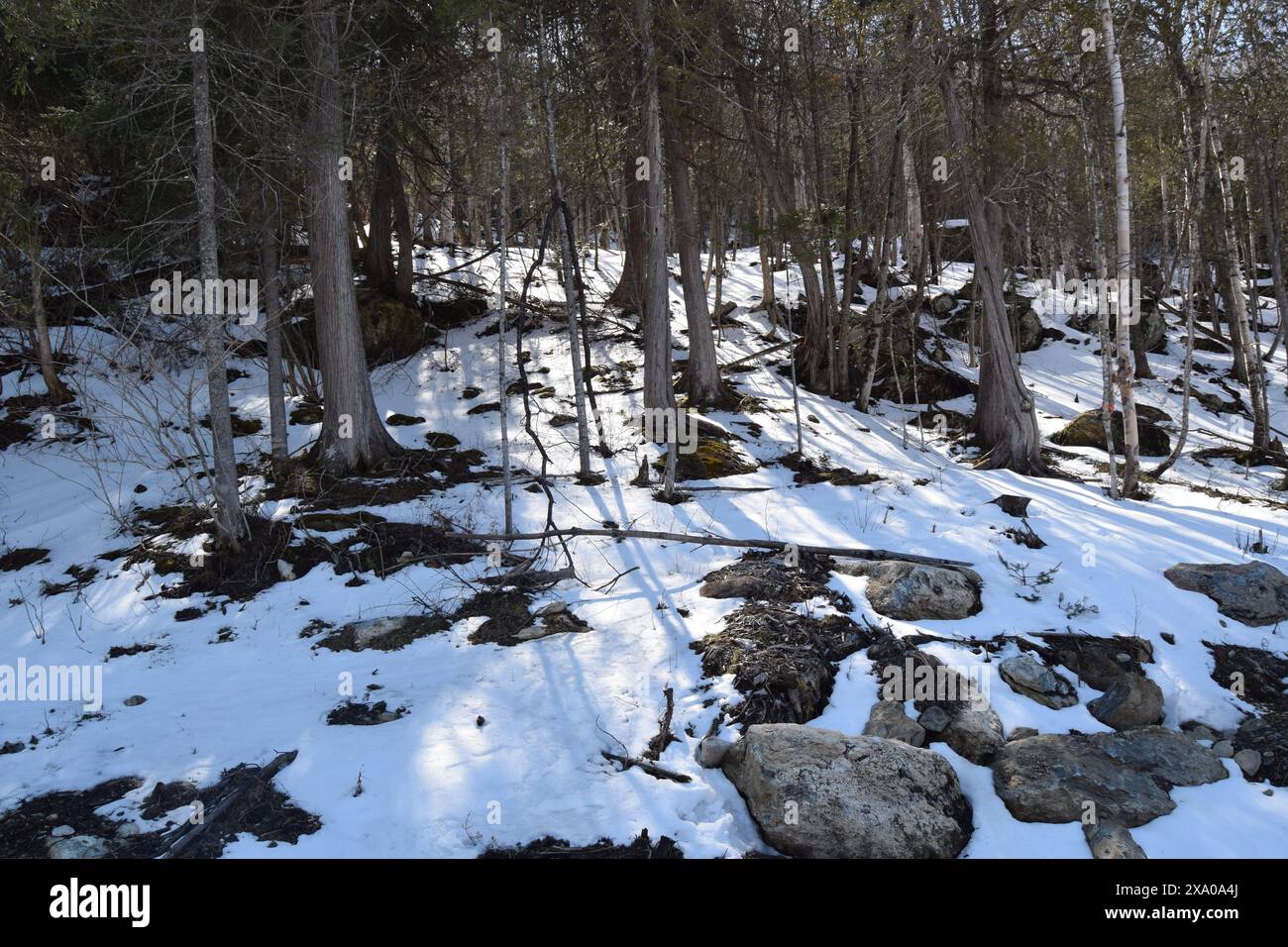 Wintry landscape hi-res stock photography and images - Alamy